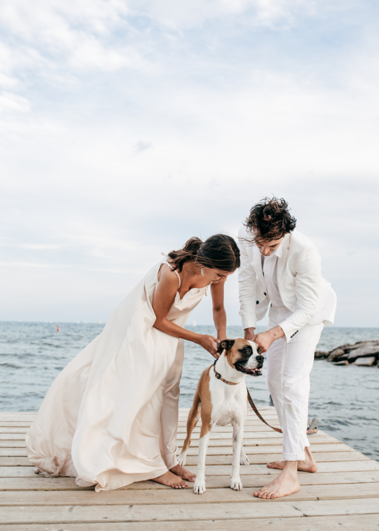 Can My Dog Be a Witness at My Wedding? The Complete Guide - Ruby & The Wolf
